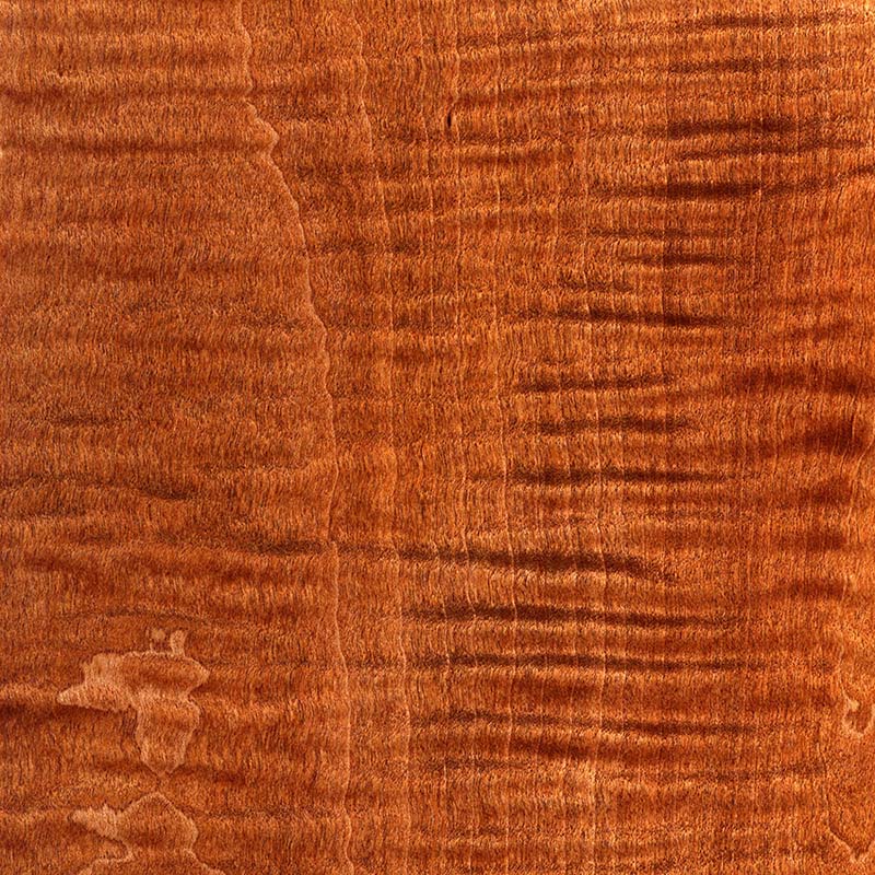 Swatch Gallery | MESA/Boogie®