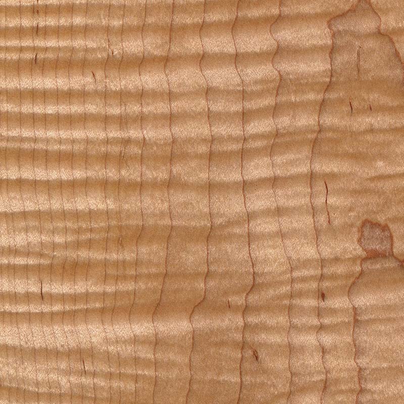 Swatch Gallery | MESA/Boogie®