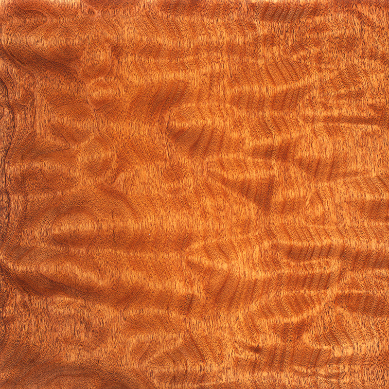 Swatch Gallery | MESA/Boogie®