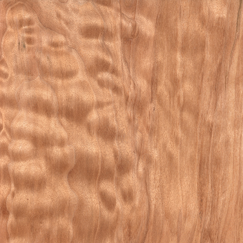 Swatch Gallery | MESA/Boogie®