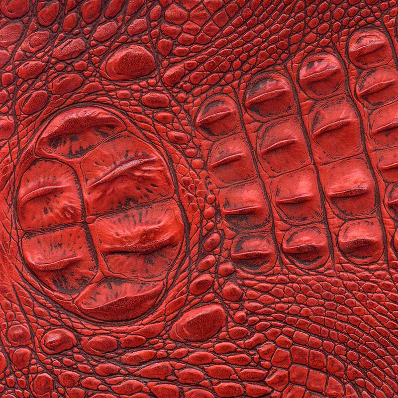 Swatch Gallery | MESA/Boogie®