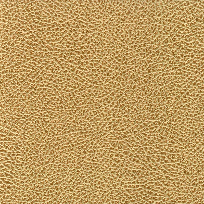 Swatch Gallery | MESA/Boogie®